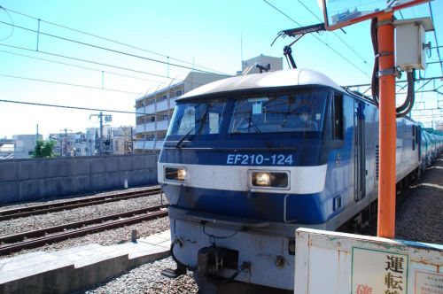 EF210-124牽引 米タン【尻手駅：南武支線】 2020.8.11 | 鉄道＠たびすと